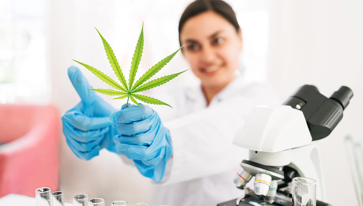 Spotting Fake THC Vapes: Protect Your Health Today